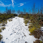 Meanderthals | The Pinnacle Trail at Pinnacle Park, Nantahala National ...