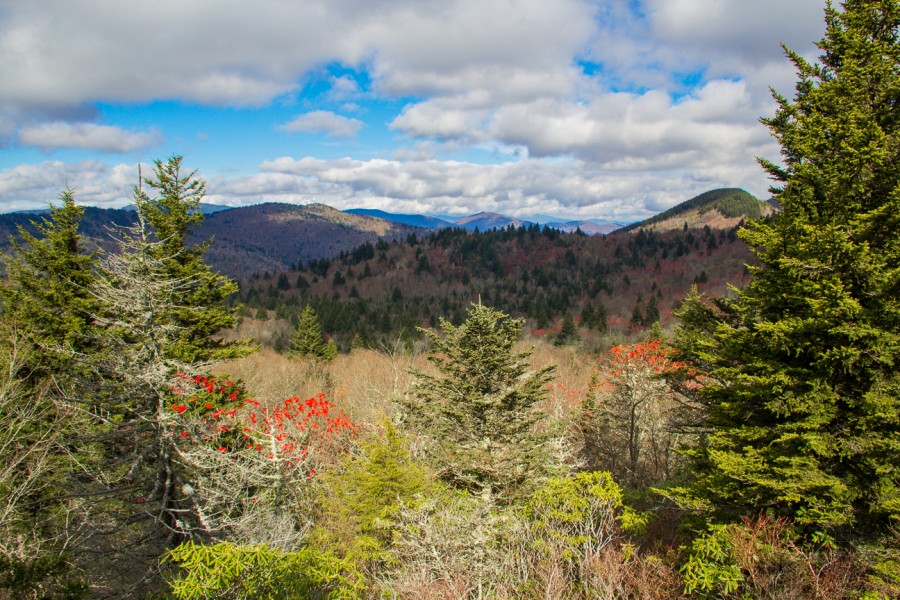 Meanderthals | Sam Knob and Little Sam, Blue Ridge Parkway