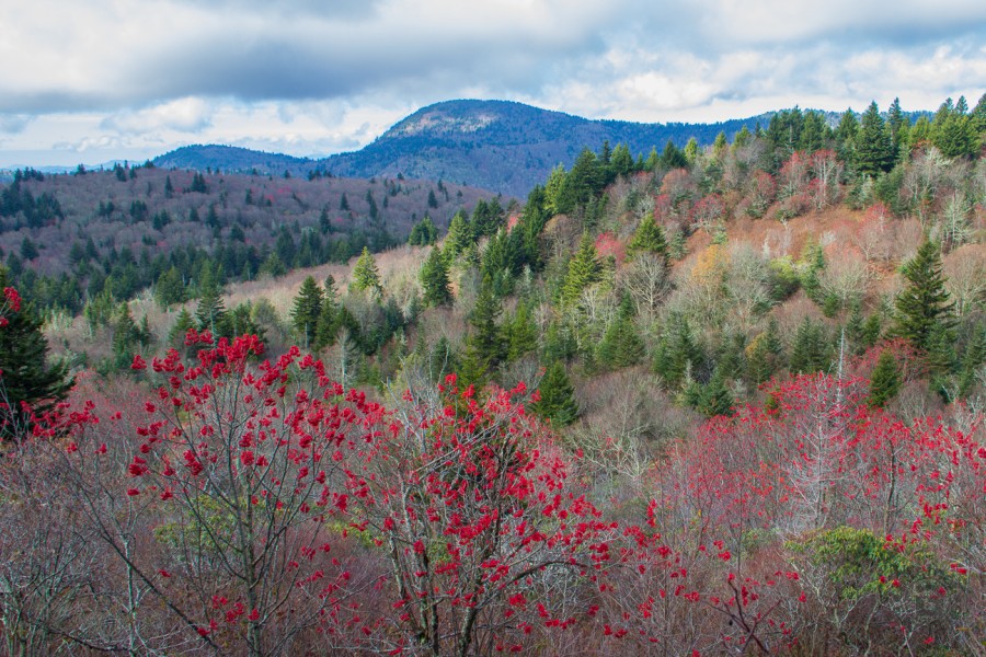 Meanderthals | Sam Knob and Little Sam, Blue Ridge Parkway