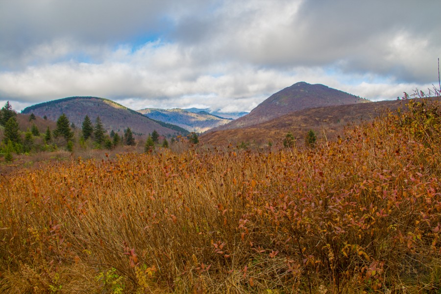 Meanderthals | Sam Knob and Little Sam, Blue Ridge Parkway