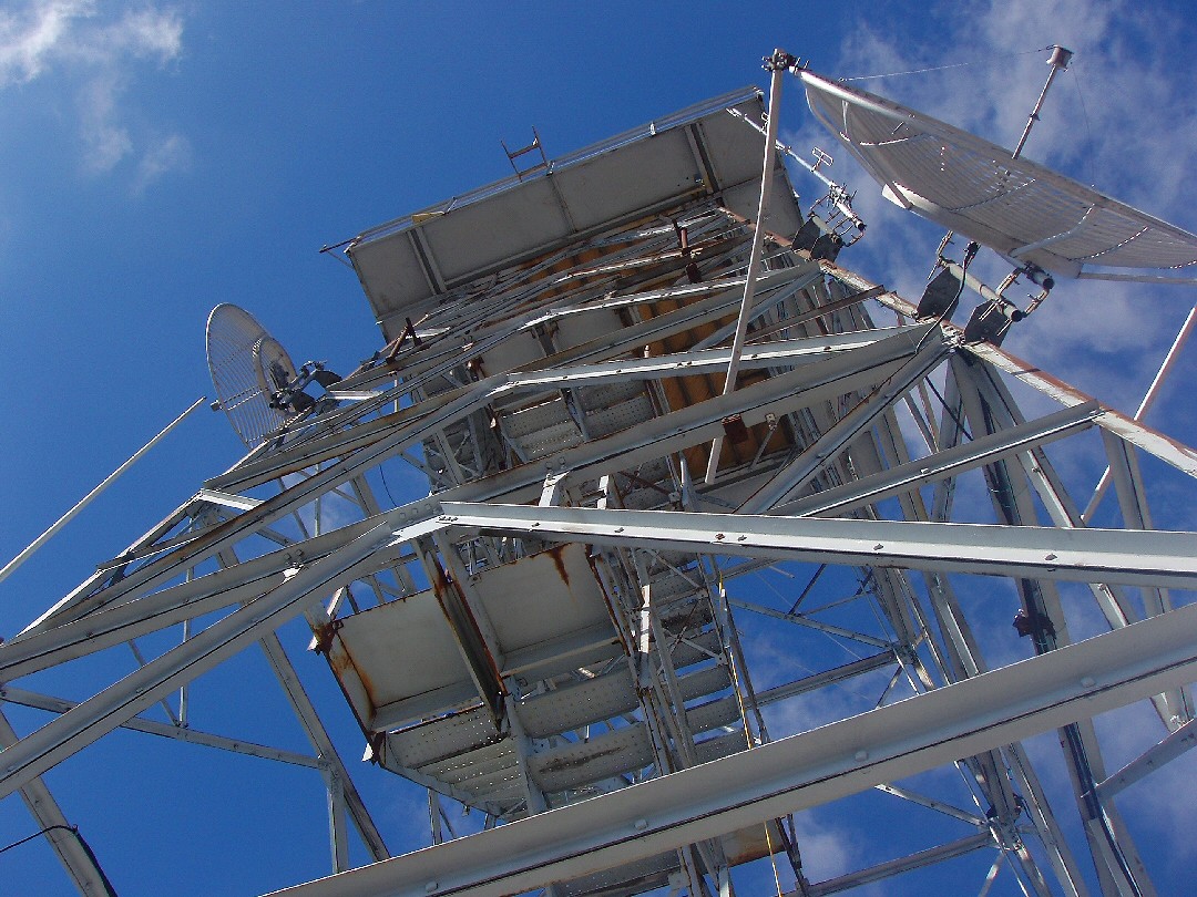 Meanderthals | Fryingpan Mountain, Blue Ridge Parkway