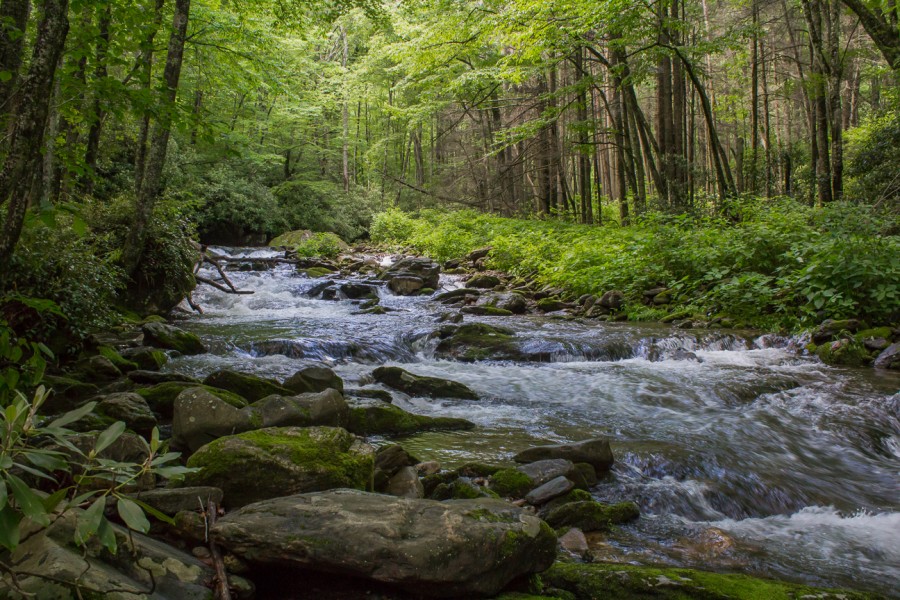 Meanderthals | Buckeye Gap, Haywood Gap, Blue Ridge Parkway