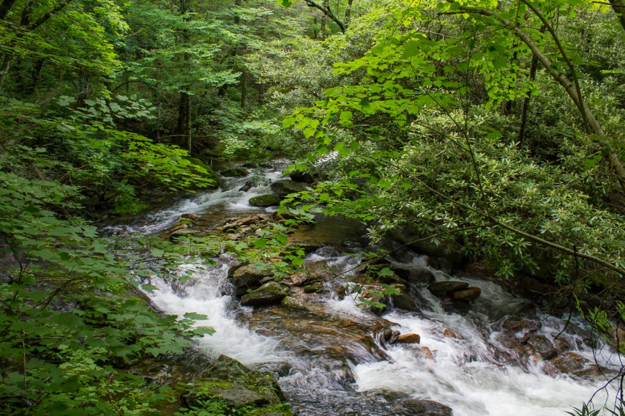 Meanderthals | Buckeye Gap, Haywood Gap, Blue Ridge Parkway