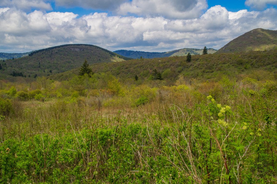 Meanderthals | Sam Knob and Little Sam, Blue Ridge Parkway