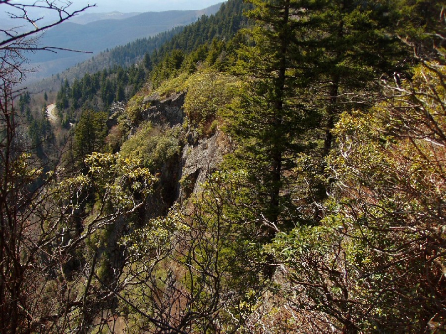 Meanderthals | Sam Knob and Little Sam, Blue Ridge Parkway