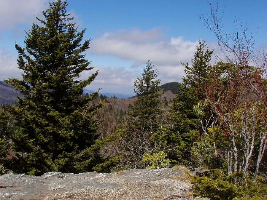 Meanderthals | Sam Knob and Little Sam, Blue Ridge Parkway