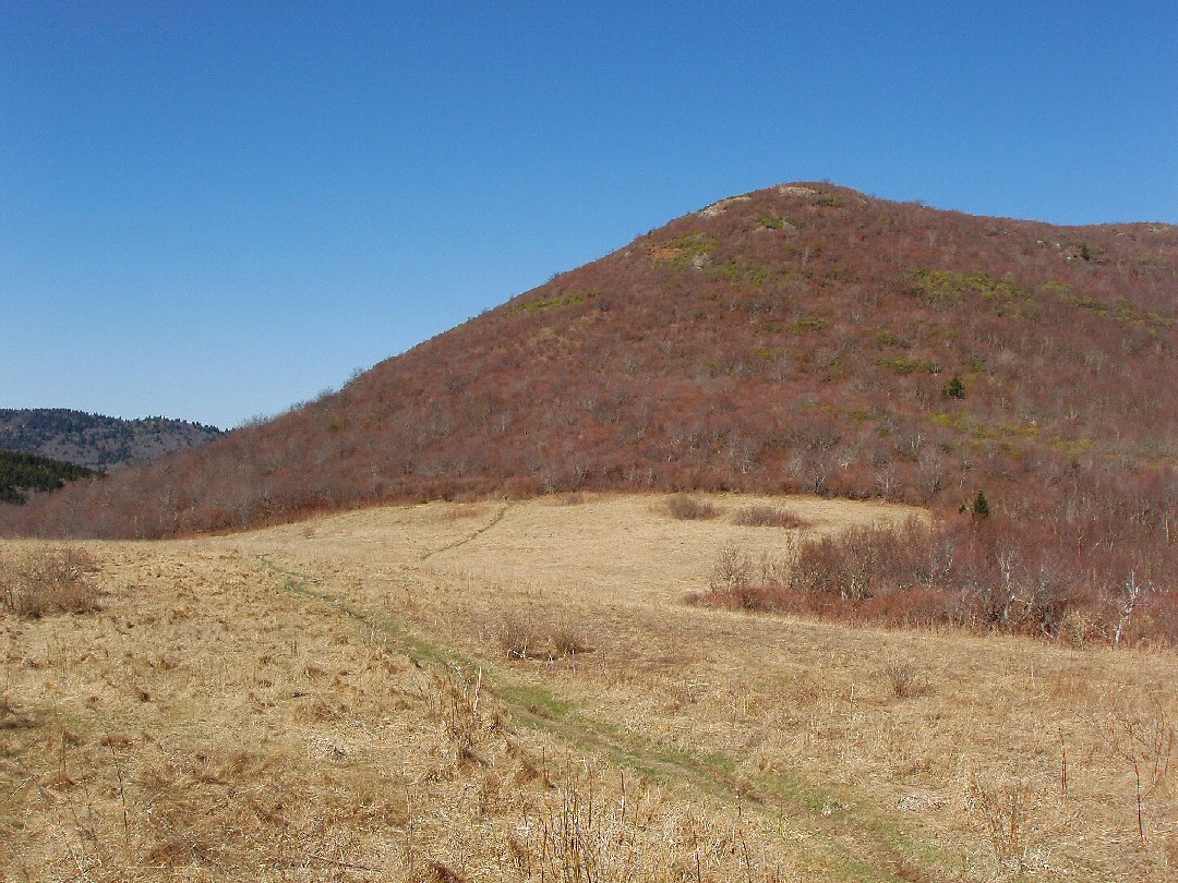 Meanderthals | Sam Knob and Little Sam, Blue Ridge Parkway