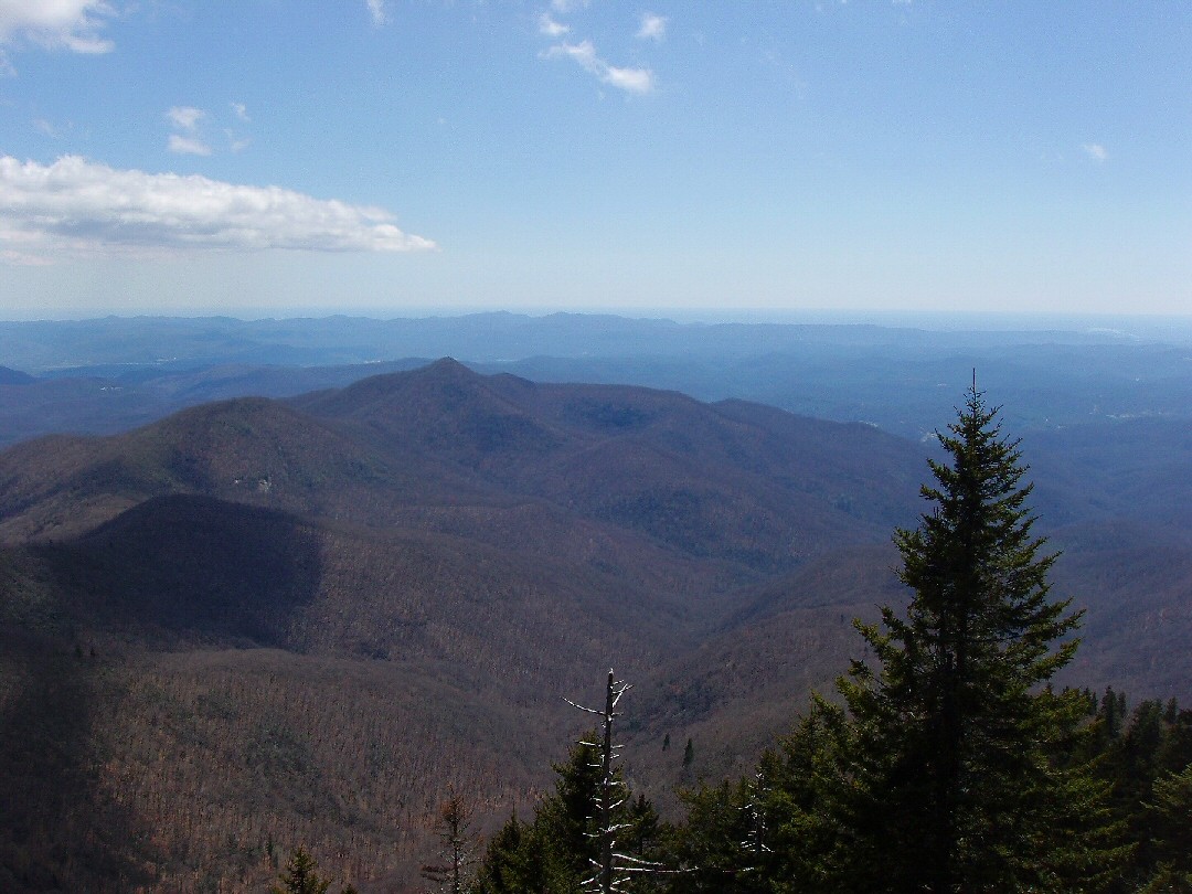 Meanderthals | Sam Knob and Little Sam, Blue Ridge Parkway