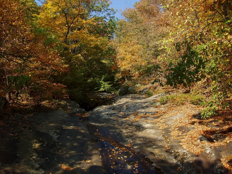 Meanderthals | Cedar Run and Whiteoak Canyon Trails, Shenandoah ...