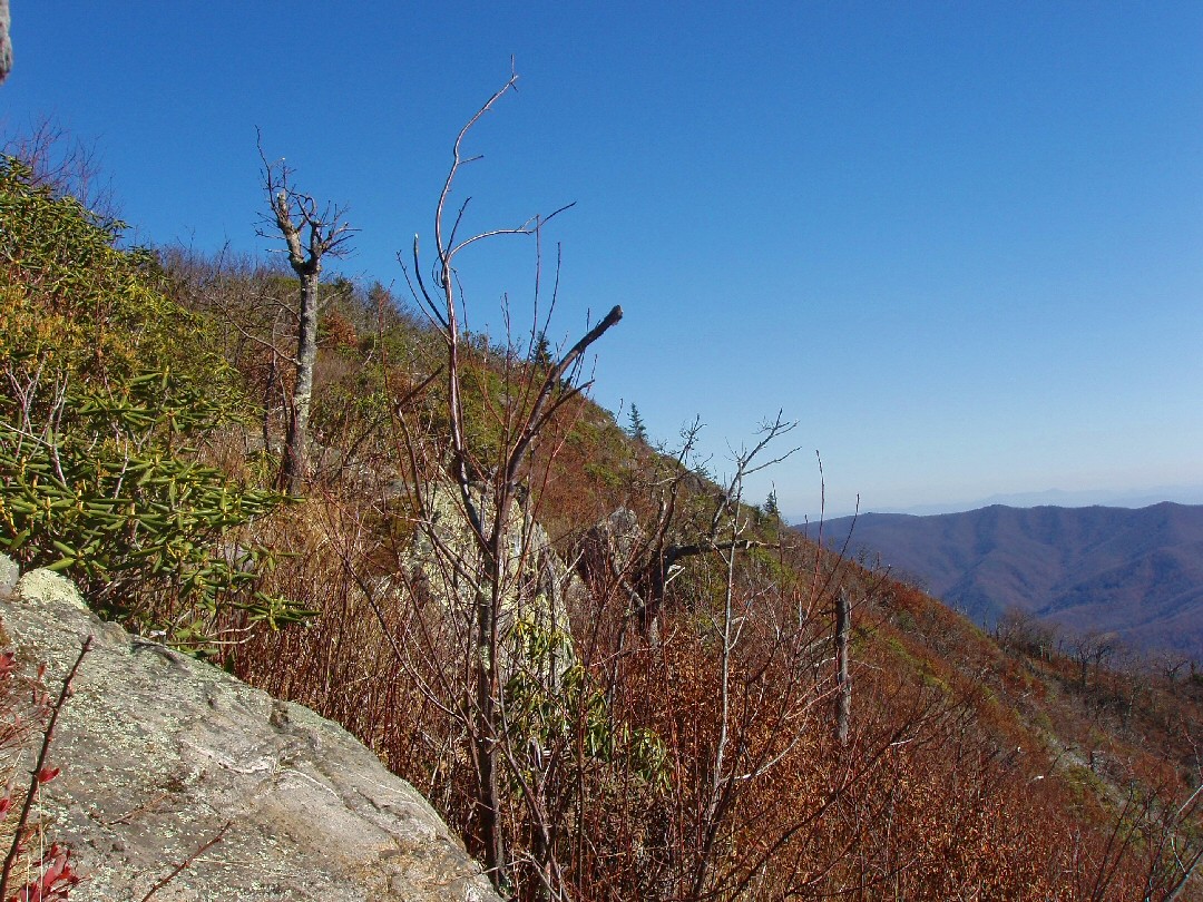 Meanderthals | Art Loeb Trail to Cold Mountain, Shining Rock Wilderness