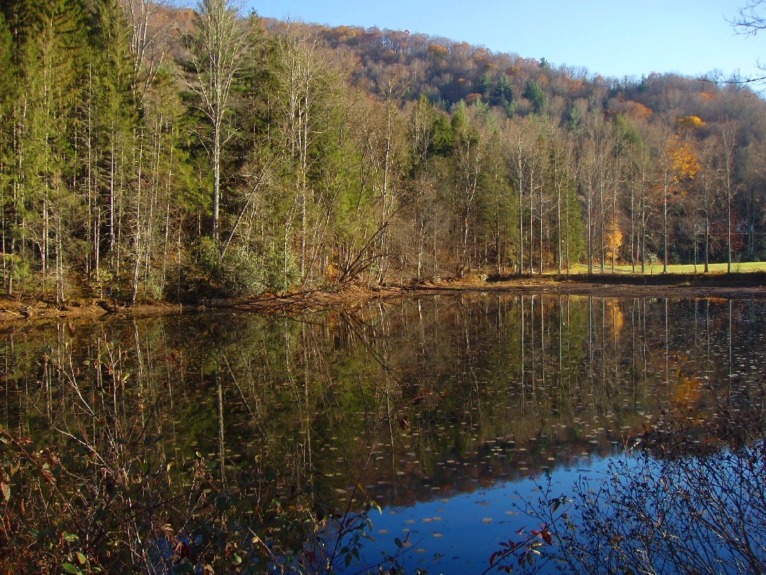 Meanderthals | Art Loeb Trail to Cold Mountain, Shining Rock Wilderness
