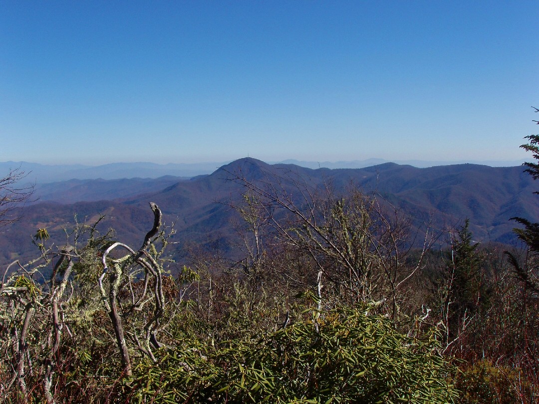 Meanderthals | Art Loeb Trail to Cold Mountain, Shining Rock Wilderness
