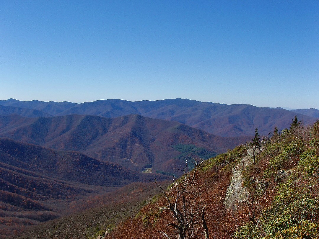 Meanderthals | Art Loeb Trail to Cold Mountain, Shining Rock Wilderness