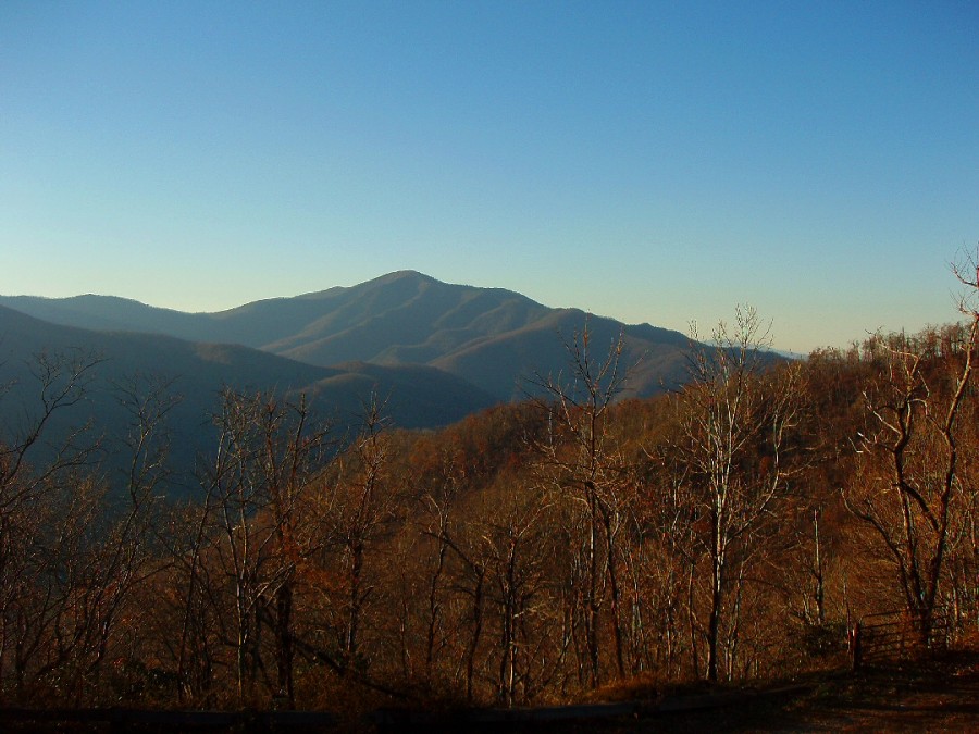 Meanderthals | Art Loeb Trail to Cold Mountain, Shining Rock Wilderness