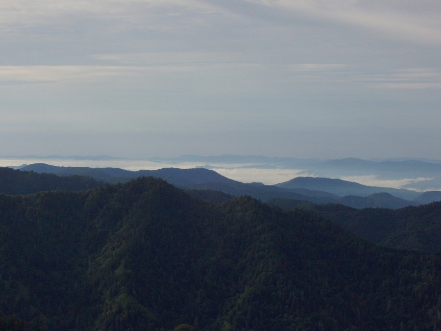 Meanderthals | Mt. LeConte via Alum Cave Trail, Great Smoky Mountains ...