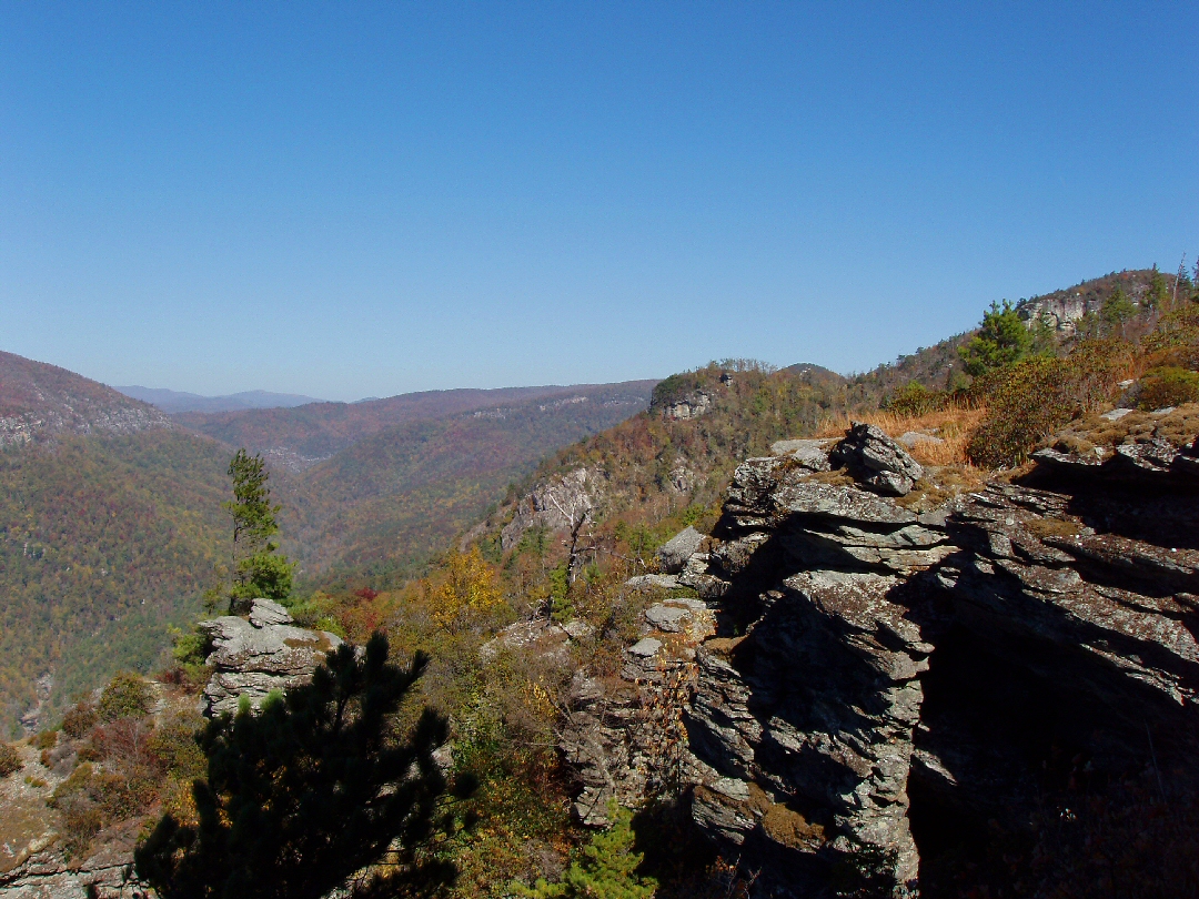 Meanderthals | Jonas Ridge and Shortoff Trails, Linville Gorge Wilderness