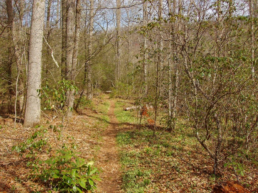 Meanderthals | Pilot Cove/Slate Rock Creek Trails, Pisgah National Forest