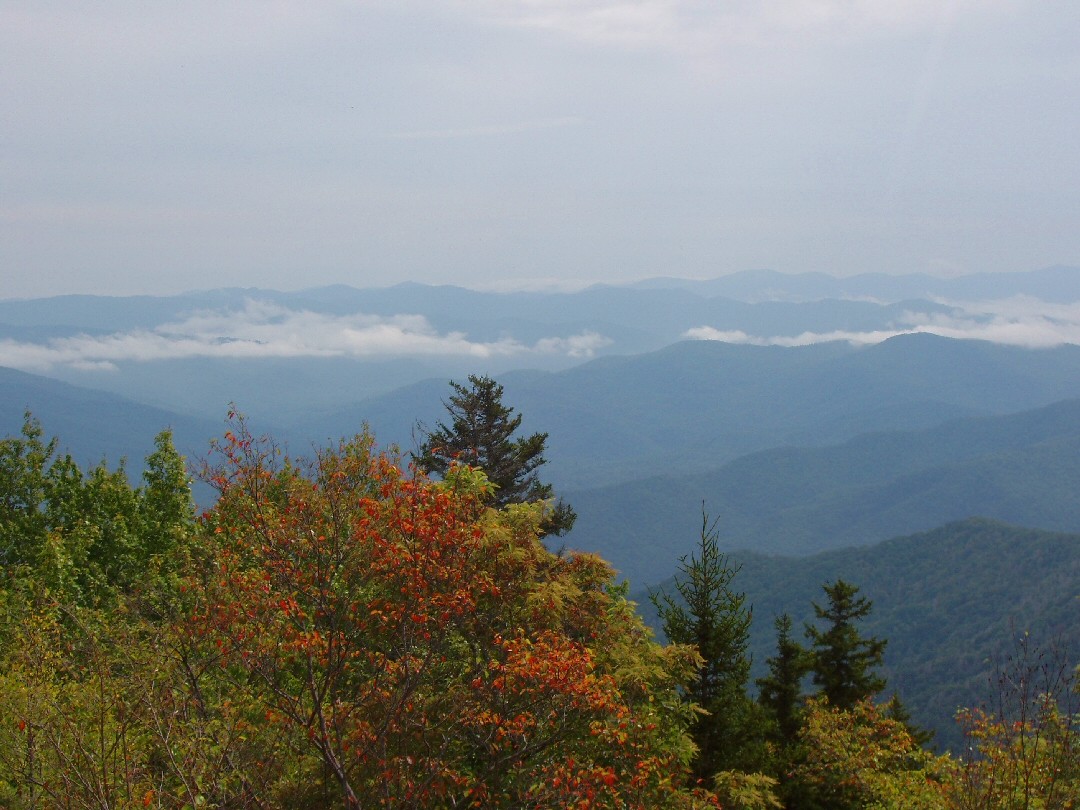 Meanderthals | Low Gap and Appalachian Trails to Mt. Cammerer, Great ...
