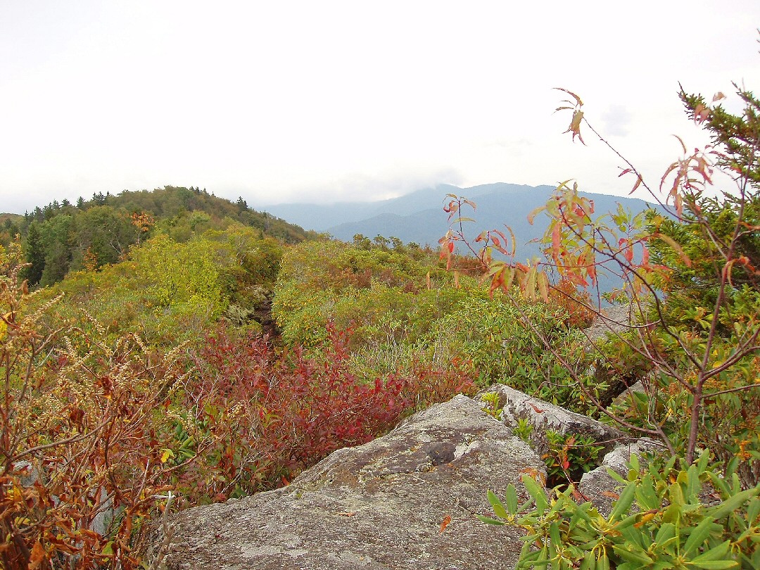 Meanderthals | Low Gap and Appalachian Trails to Mt. Cammerer, Great ...