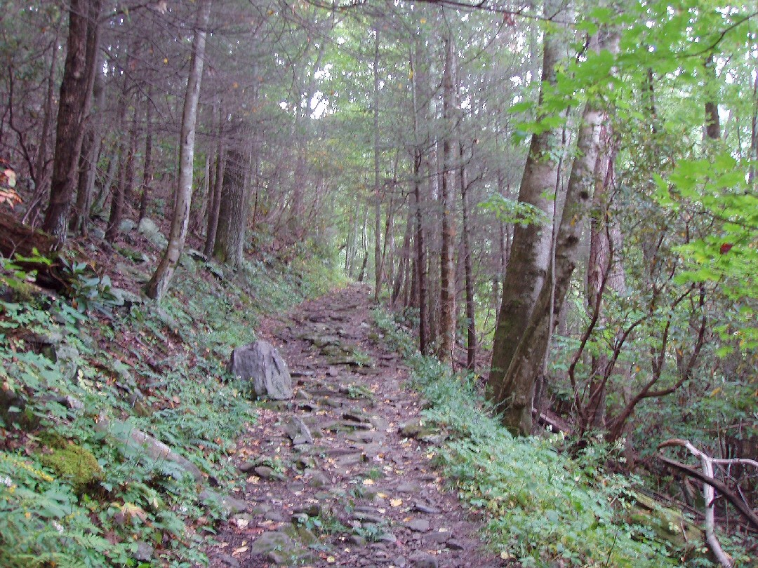 Meanderthals | Low Gap and Appalachian Trails to Mt. Cammerer, Great ...