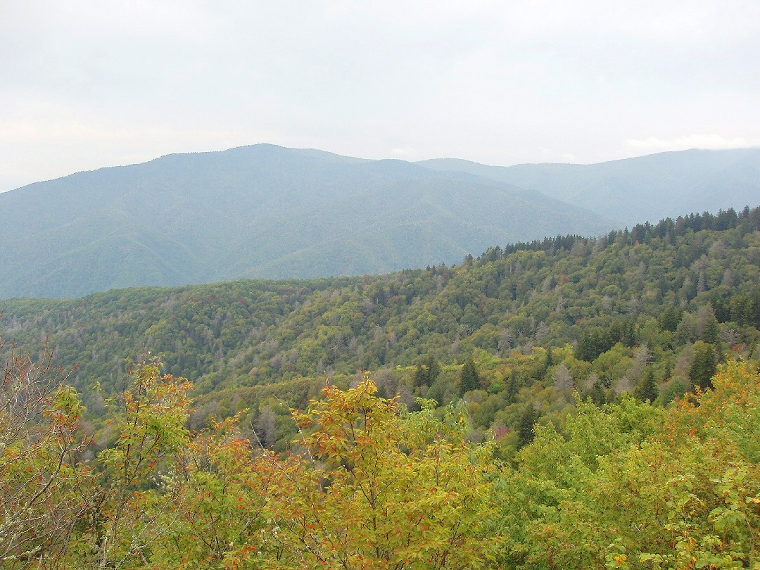 Meanderthals | Low Gap and Appalachian Trails to Mt. Cammerer, Great ...