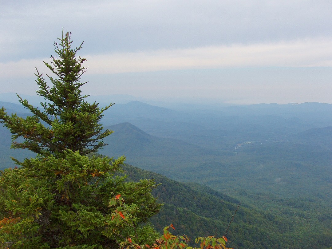 Meanderthals | Low Gap and Appalachian Trails to Mt. Cammerer, Great ...