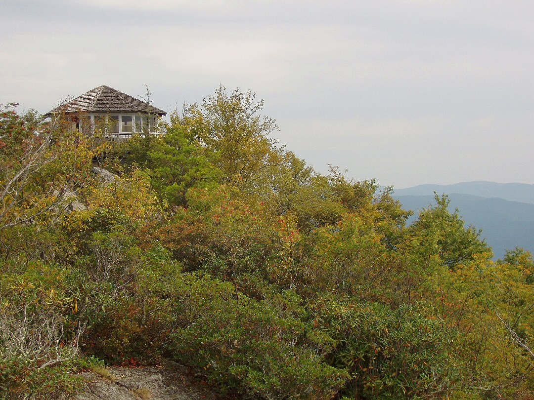 Meanderthals | Low Gap and Appalachian Trails to Mt. Cammerer, Great ...