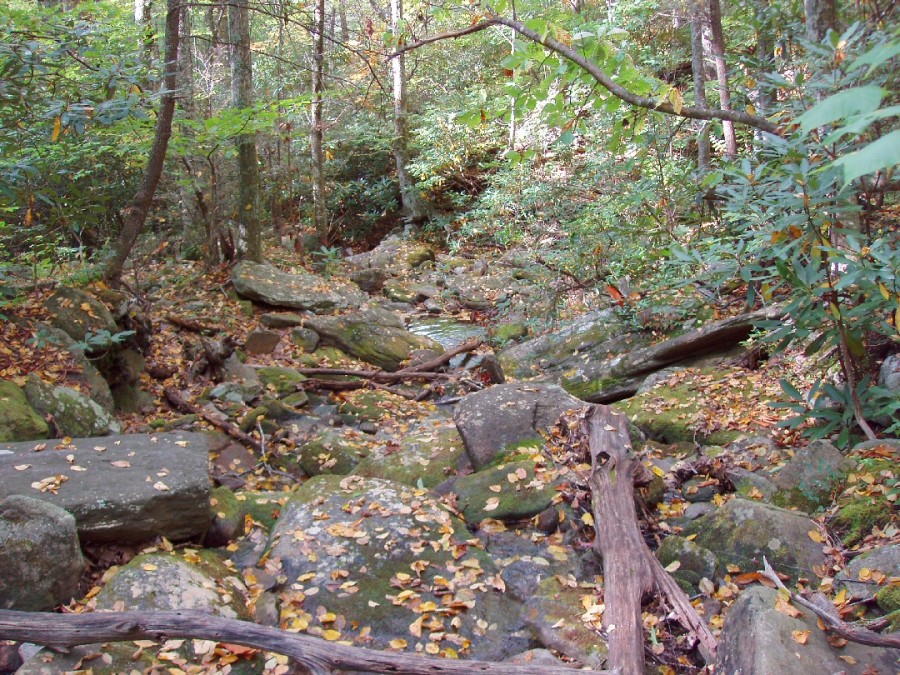 Meanderthals | Greybeard Trail, West Ridge Trail, and Big Piney Ridge ...