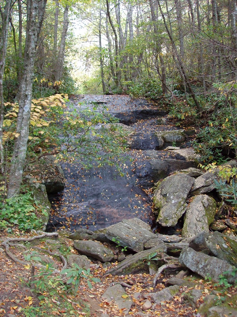 Meanderthals | Greybeard Trail, West Ridge Trail, and Big Piney Ridge ...