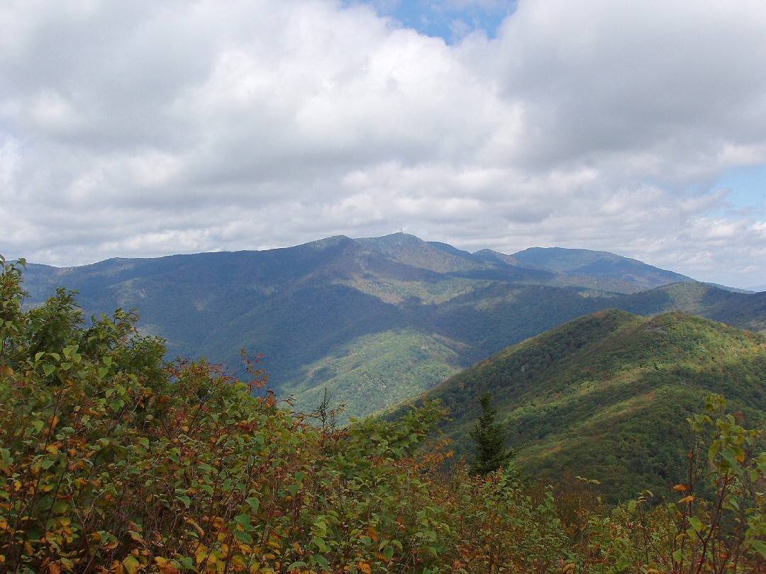 Meanderthals | Greybeard Trail, West Ridge Trail, and Big Piney Ridge ...