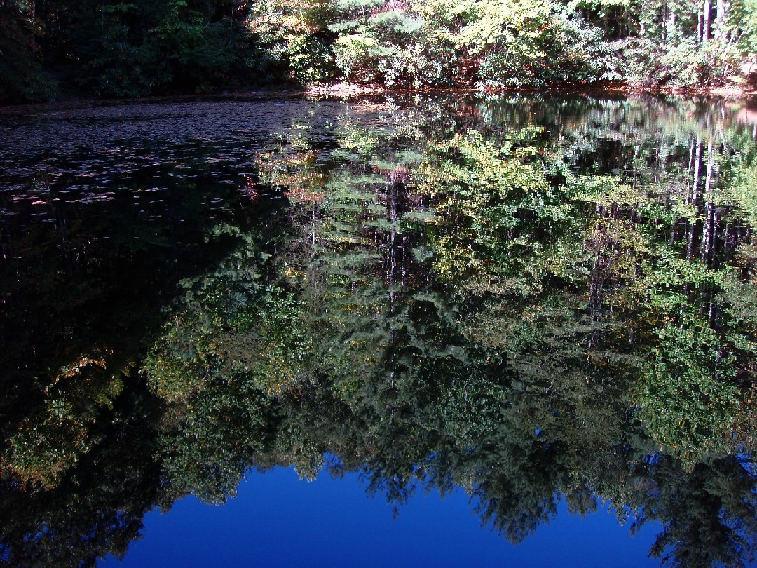 Meanderthals | Greybeard Trail, West Ridge Trail, and Big Piney Ridge ...