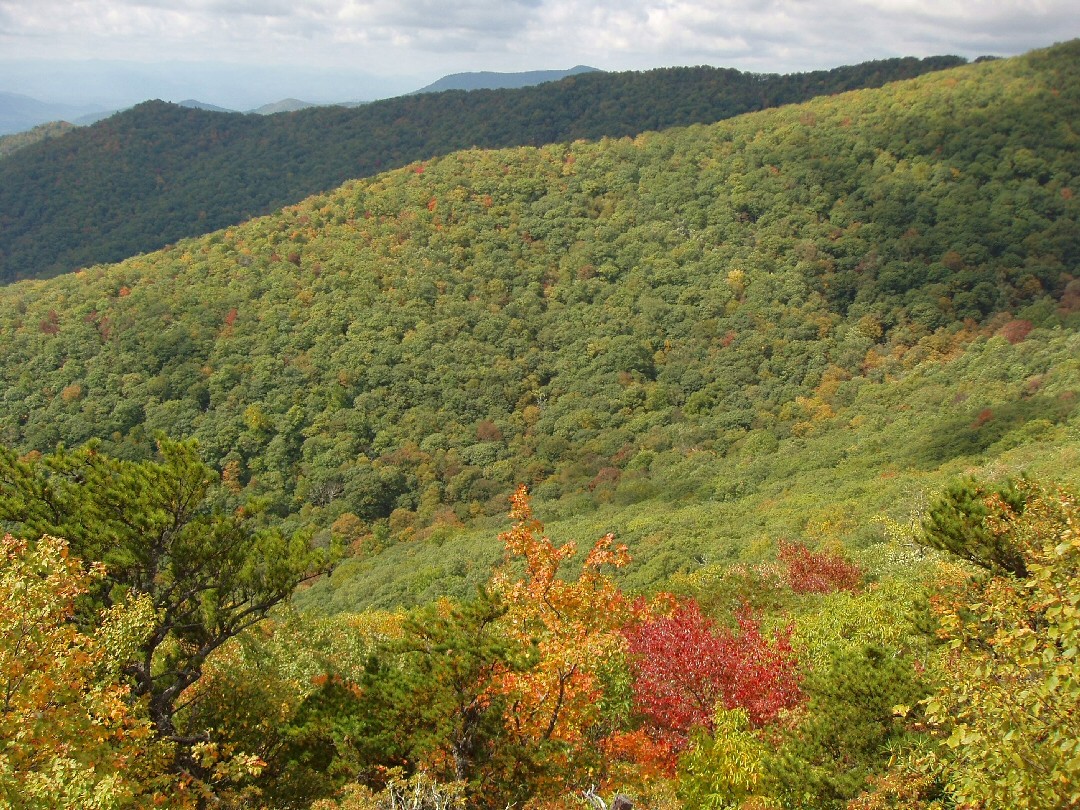 Meanderthals | Greybeard Trail, West Ridge Trail, and Big Piney Ridge ...