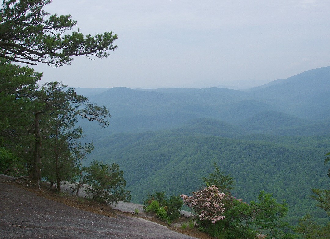 Meanderthals | Looking Glass Rock Trail, Pisgah National Forest