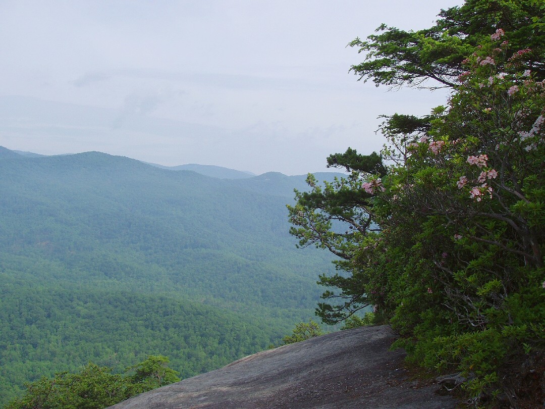 Meanderthals | Looking Glass Rock Trail, Pisgah National Forest