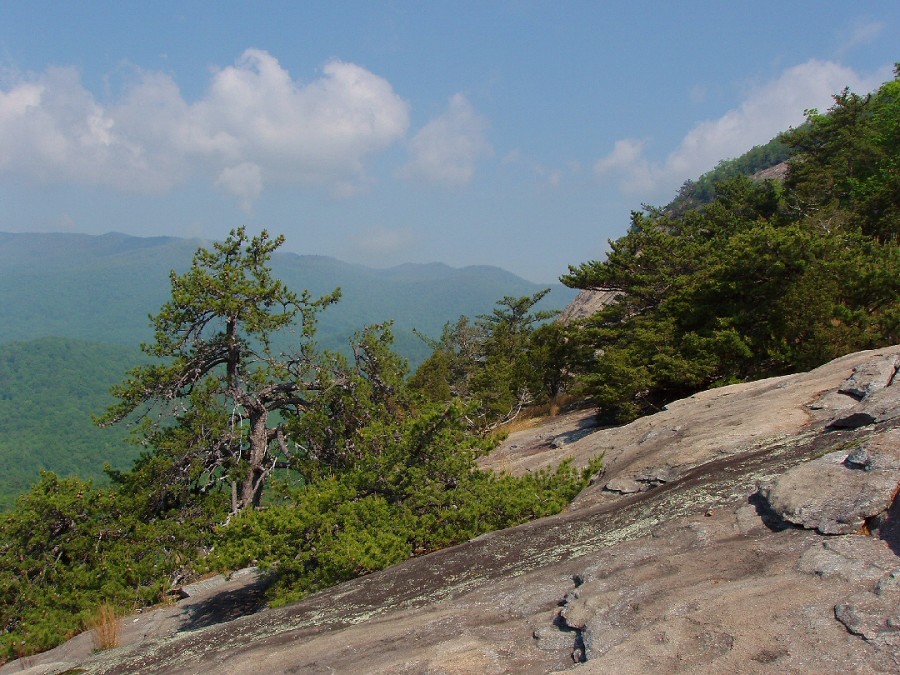 Meanderthals | Looking Glass Rock Trail, Pisgah National Forest