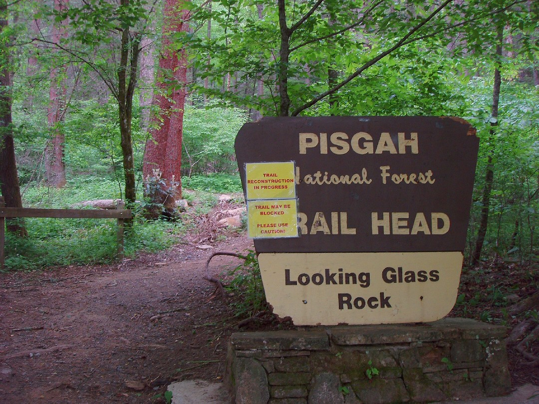 Meanderthals | Looking Glass Rock Trail, Pisgah National Forest