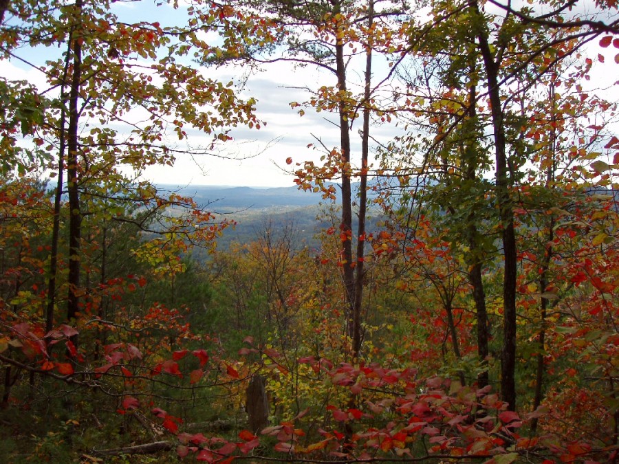 Meanderthals | Rumbling Bald Trails, Hickory Nut Gorge