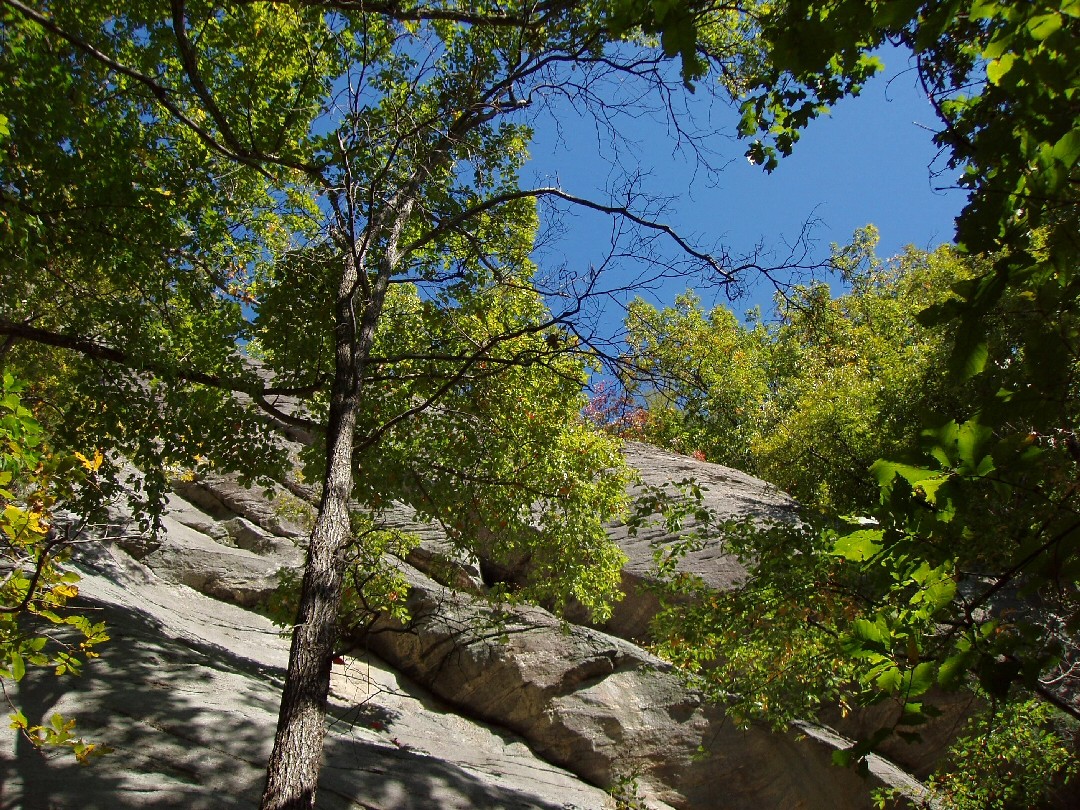 Meanderthals | Rumbling Bald Trails, Hickory Nut Gorge