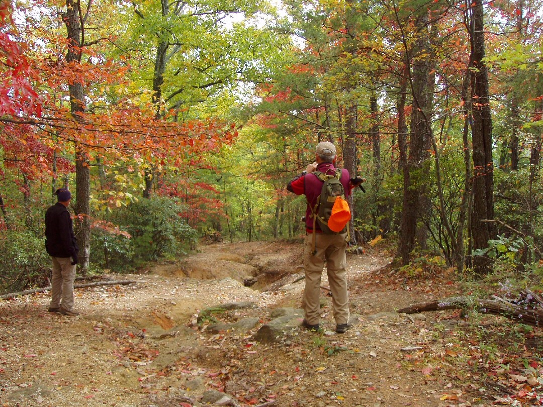 Meanderthals | Rumbling Bald Trails, Hickory Nut Gorge