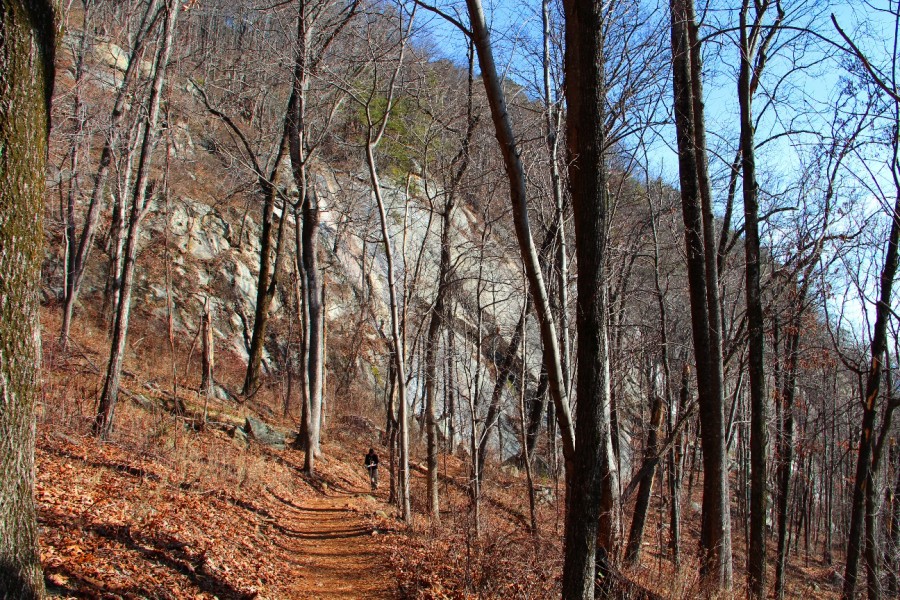 Meanderthals | Jones Gap Trail and Coldspring Branch Trail Loop, Jones ...