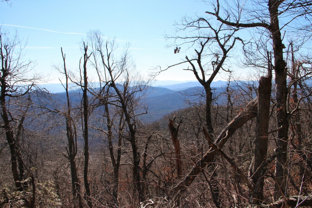 Meanderthals | Thompson Creek and Pilot Rock Loop, Pisgah National Forest