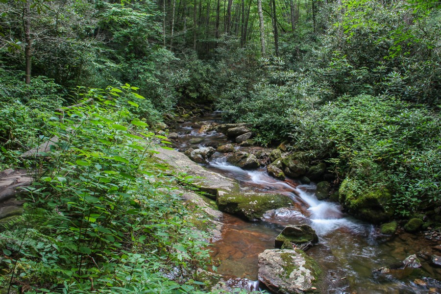 Meanderthals | Summey Cove Trail to Courthouse Falls, Pisgah National ...