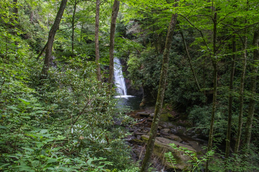 Meanderthals | Summey Cove Trail to Courthouse Falls, Pisgah National ...