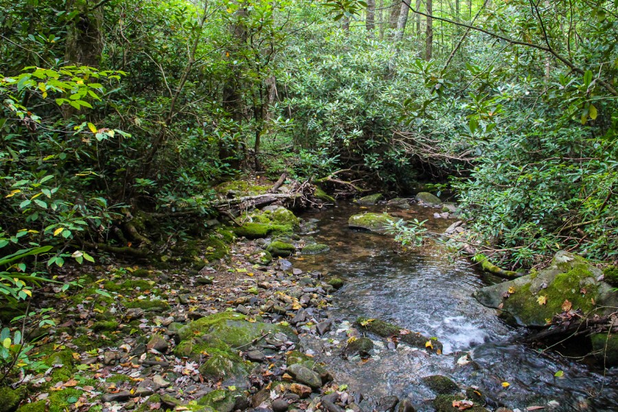 Meanderthals | Summey Cove Trail to Courthouse Falls, Pisgah National ...
