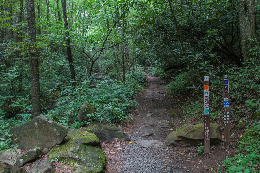 Meanderthals | Summey Cove Trail to Courthouse Falls, Pisgah National ...