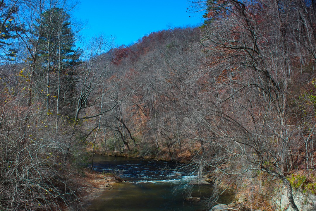 Meanderthals | Green River Game Lands Trail System