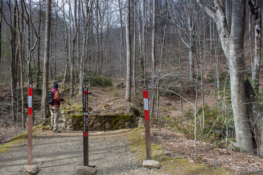 Meanderthals | Daniel Ridge Loop Trail, Pisgah National Forest
