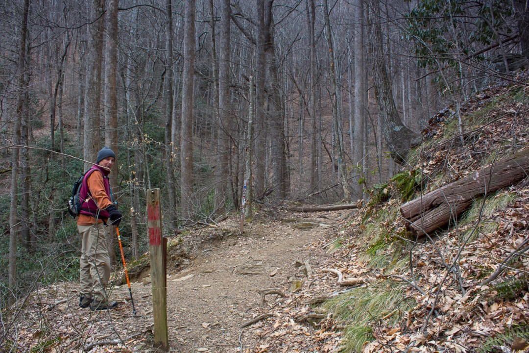 Meanderthals | Daniel Ridge Loop Trail, Pisgah National Forest