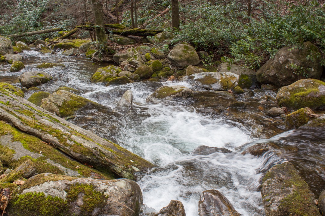 Meanderthals | Daniel Ridge Loop Trail, Pisgah National Forest