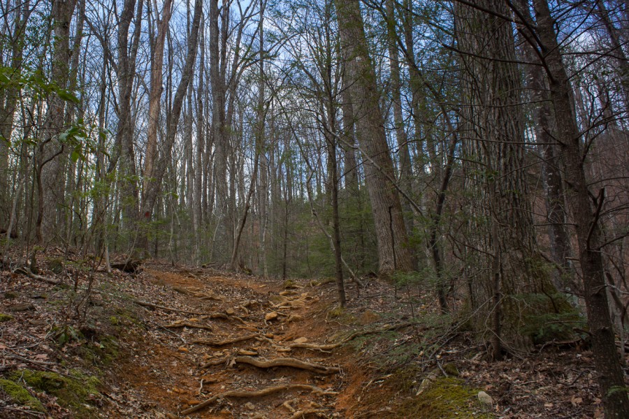 Meanderthals | Daniel Ridge Loop Trail, Pisgah National Forest